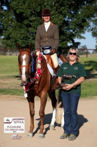 Sire on Fire: HF Somethin Hot - Australias Leading AQHA Performance Sire