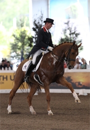 Carl Hesters 35 Top Tips on Everything Dressage!