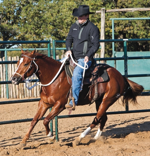 Colt Starting Questions Answered with Clinton Anderson