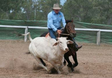 The Great Australian Campdraft Documentary