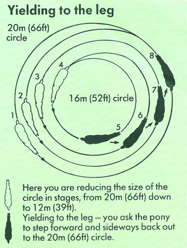 Training Tips: Dressage Lateral Work