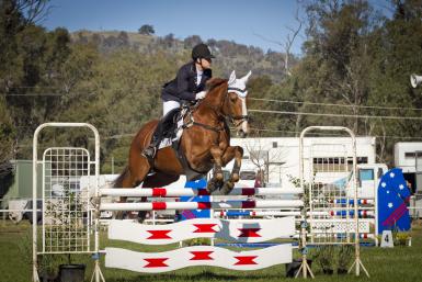 Horsezone Sellers Class Stallion Showcase - Horse Barn Euroa Jumping ...