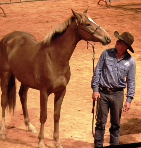 EQUITANA - Congratulations to Greg Powell - Winner of The Way Of The Horse