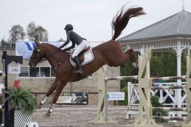 Dapto Agricultural Show - Day 1 Showjumping Results