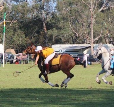 Horsezone Sponsors WA Under 24 Womens Team for Barastoc Polocrosse ...