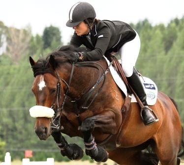 Sponsorzone: Fiber Fresh Taupo Christmas Classic Showjumping (NZ)
