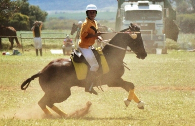 Horsezone Sponsors WA Under 24 Womens Team for Barastoc Polocrosse ...