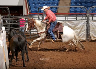 Ranch Sorting National Championships