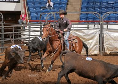 Ranch Sorting National Championships