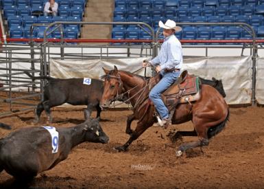 Ranch Sorting National Championships
