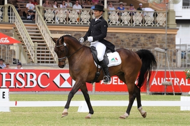 HSBC FEI Classics 2012/2013: Shane Rose and APH Moritz take the Lead ...