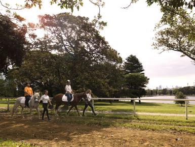 Official launch of Sydney Horse: 22 March 2015