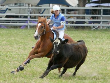 Campdrafting Returns Home to Tenterfield for PCANSW State Championships