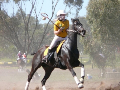 Horsezone Sponsors WA Under 24 Womens Team for Barastoc Polocrosse ...