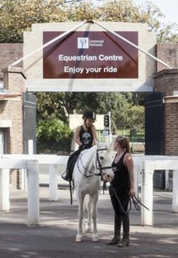 Stable your horse at Sydneys best Equestrian Centre located minutes ...