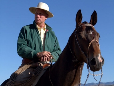 Buck On Now in Australian Cinemas