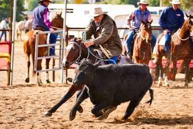 Baradine Coonamble Campdrafts Promise Plenty of Action