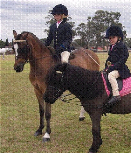 Castle Hill Spring Horse Show - 9 October - Program