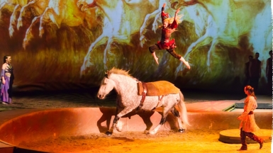 Cavalia: A Magical Encounter Between Human and Horse