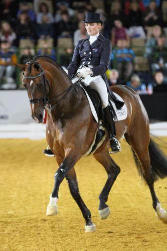 EA Reveals Dressage Long List in Lead Up to the 2014 Alltech FEI World ...