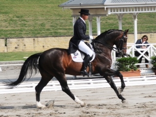 Havent Decided on a Stallion for this Breeding Season Check out the ...