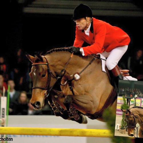 Albert Voorn Jumping Clinics at Glen Haven Park, Queensland
