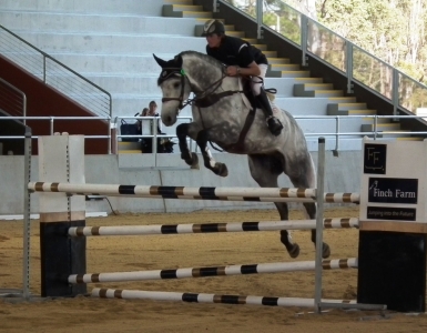 QSEC Opening - A Fantastic Venue and Great Day of Entertainment