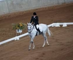 Jan Pikes Journey with Pinky the Wonder Horse Continues!