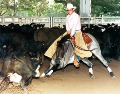 YouTube Friday - Great Cutting Horses