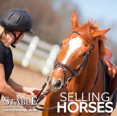 Tips for Selling Your Horse