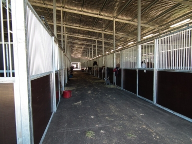 QSECs First Competition a Winner - Nathan Floats Qld Dressage Championships