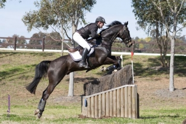 Olympic Hopefuls Leading CCI3 Melbourne International 3DE After Cross ...