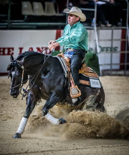 WIN With Horsezone at the Inaugural QSEC Horse Home Show!