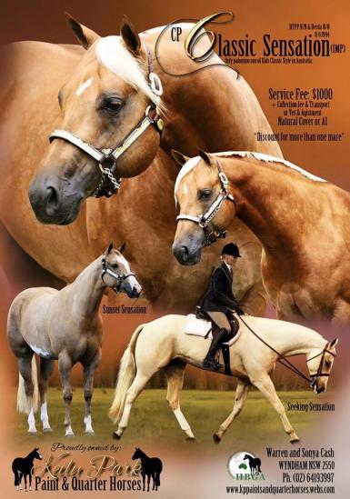 NPHA Auction Stallion Service CP Classic Sensation - Quarter horse ...