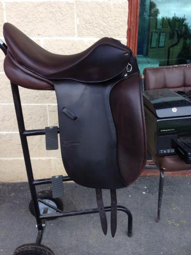 Ab workout equipment at gyms, trainers jessica pro saddle, freemotion ...