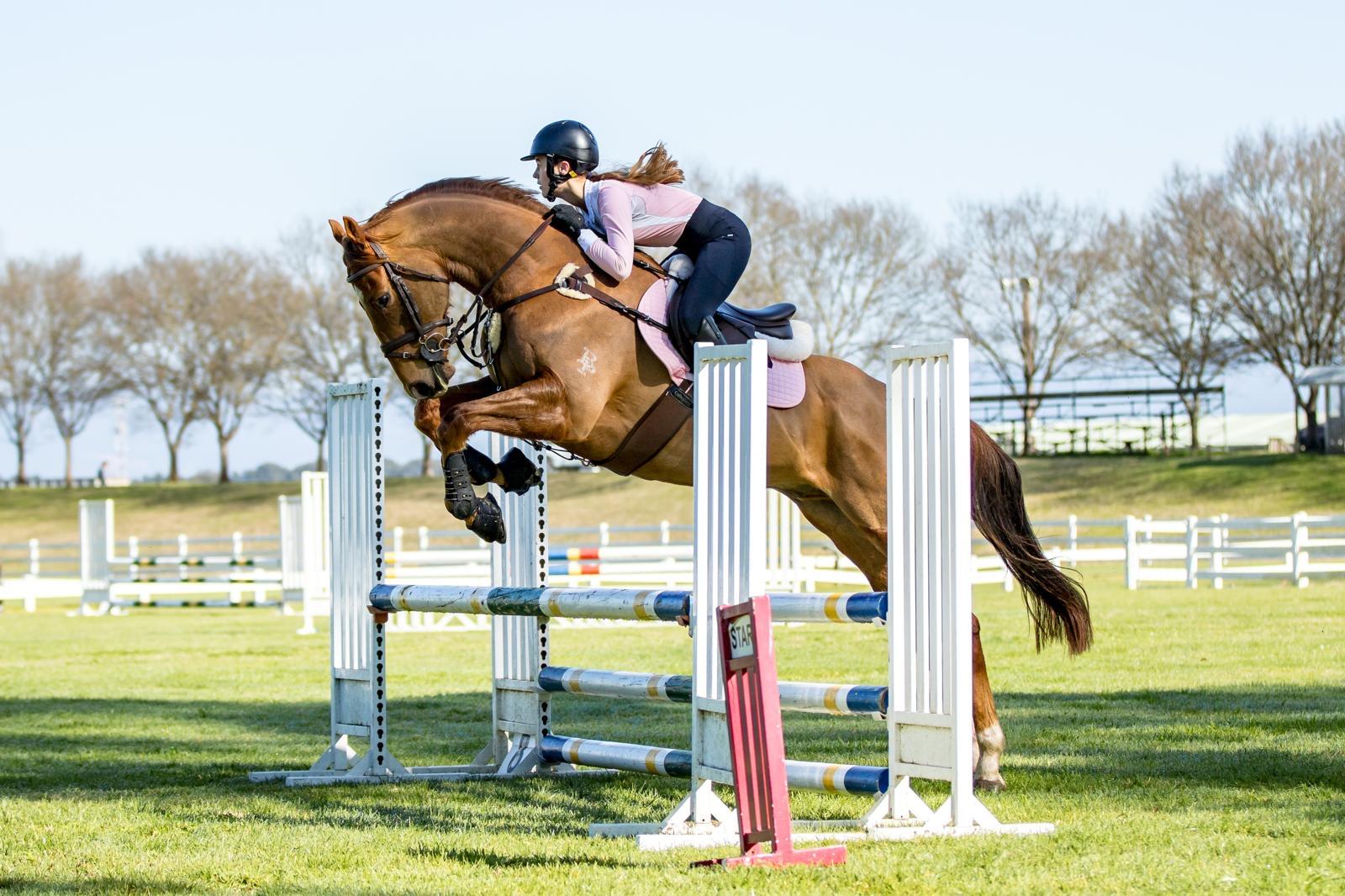 Anembo Berant 7yo, 16hh, chestnut TB gelding - Australia's #1 Equine ...