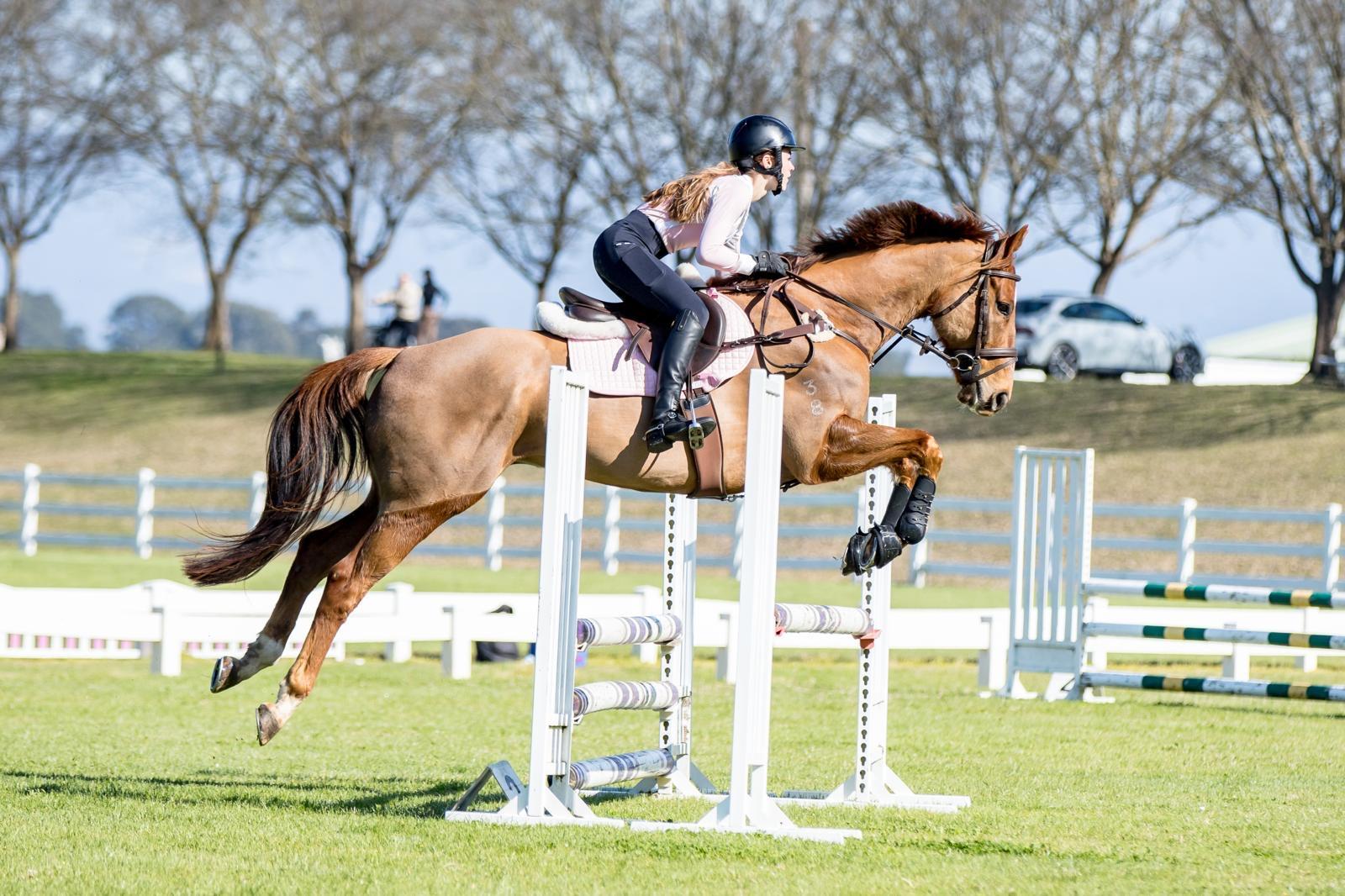 Anembo Berant 7yo, 16hh, chestnut TB gelding - Australia's #1 Equine ...