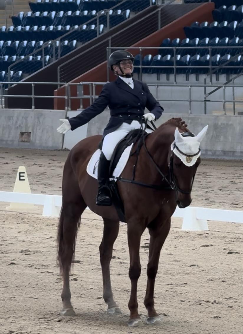 "Rocco Barocco" Jumping, Dressage, Eventing TB - Australia's #1 Equine Marketplace - Horsezone ...