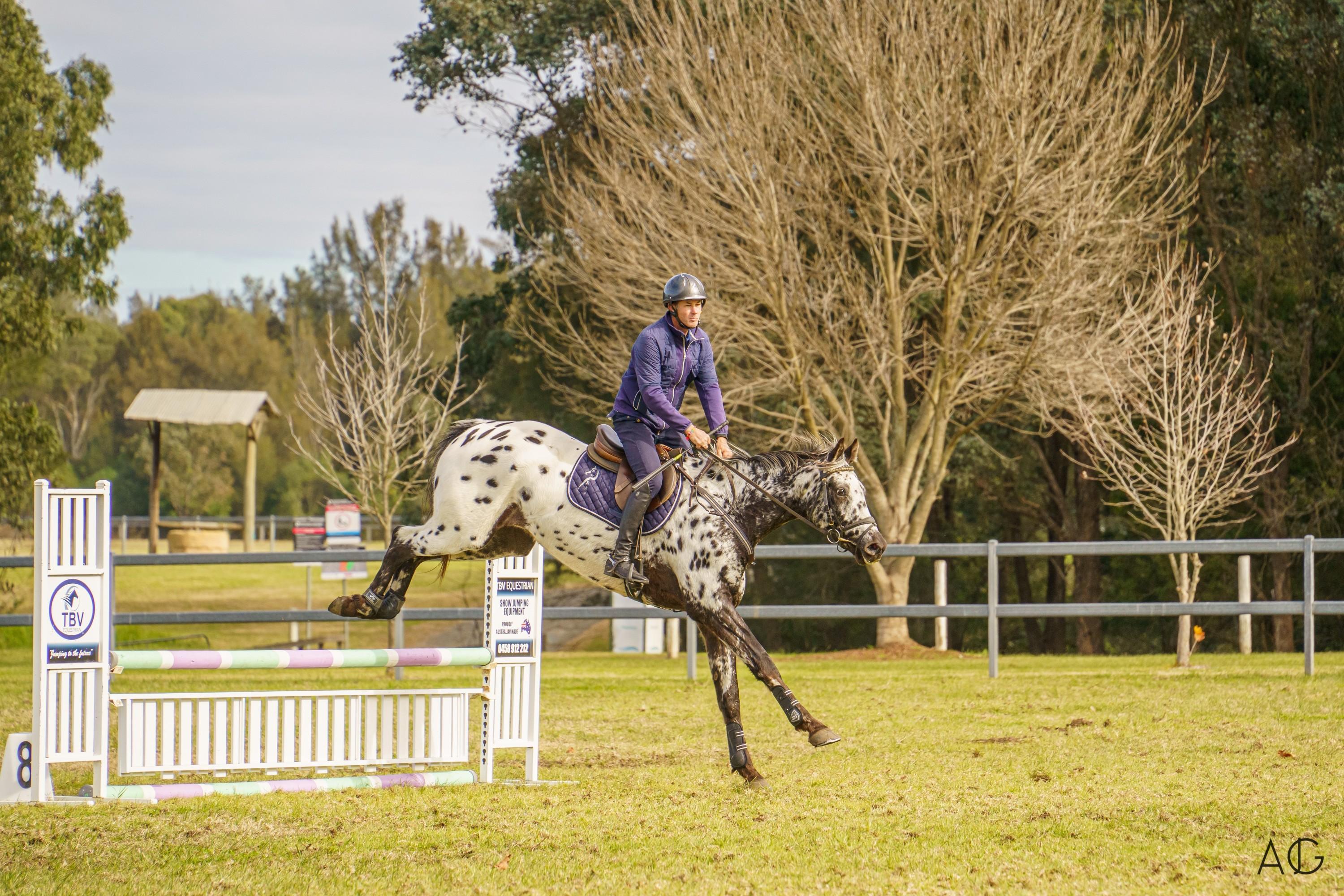 Fantastic Temperament - Australia's #1 Equine Marketplace - Horsezone ...