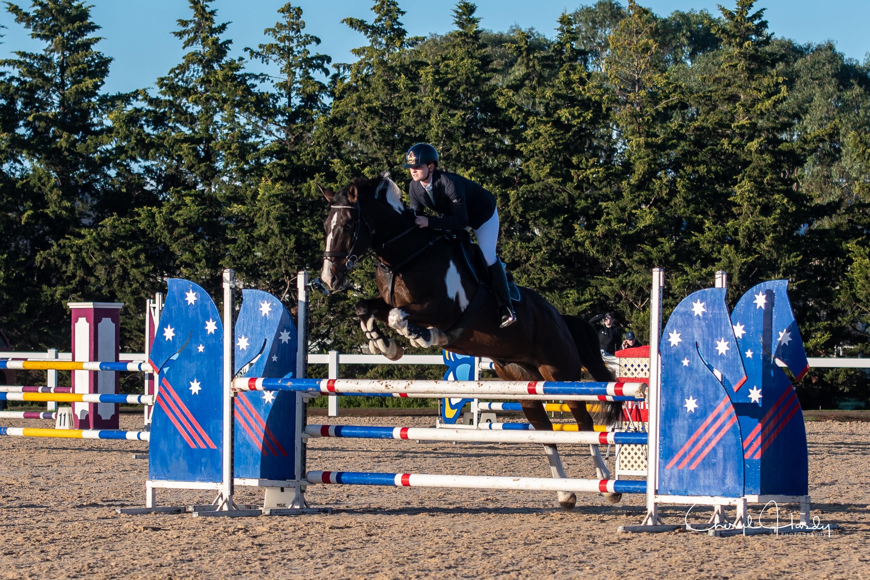 Talented Showjumper - Cowboy Cash - Australia's #1 Equine Marketplace ...