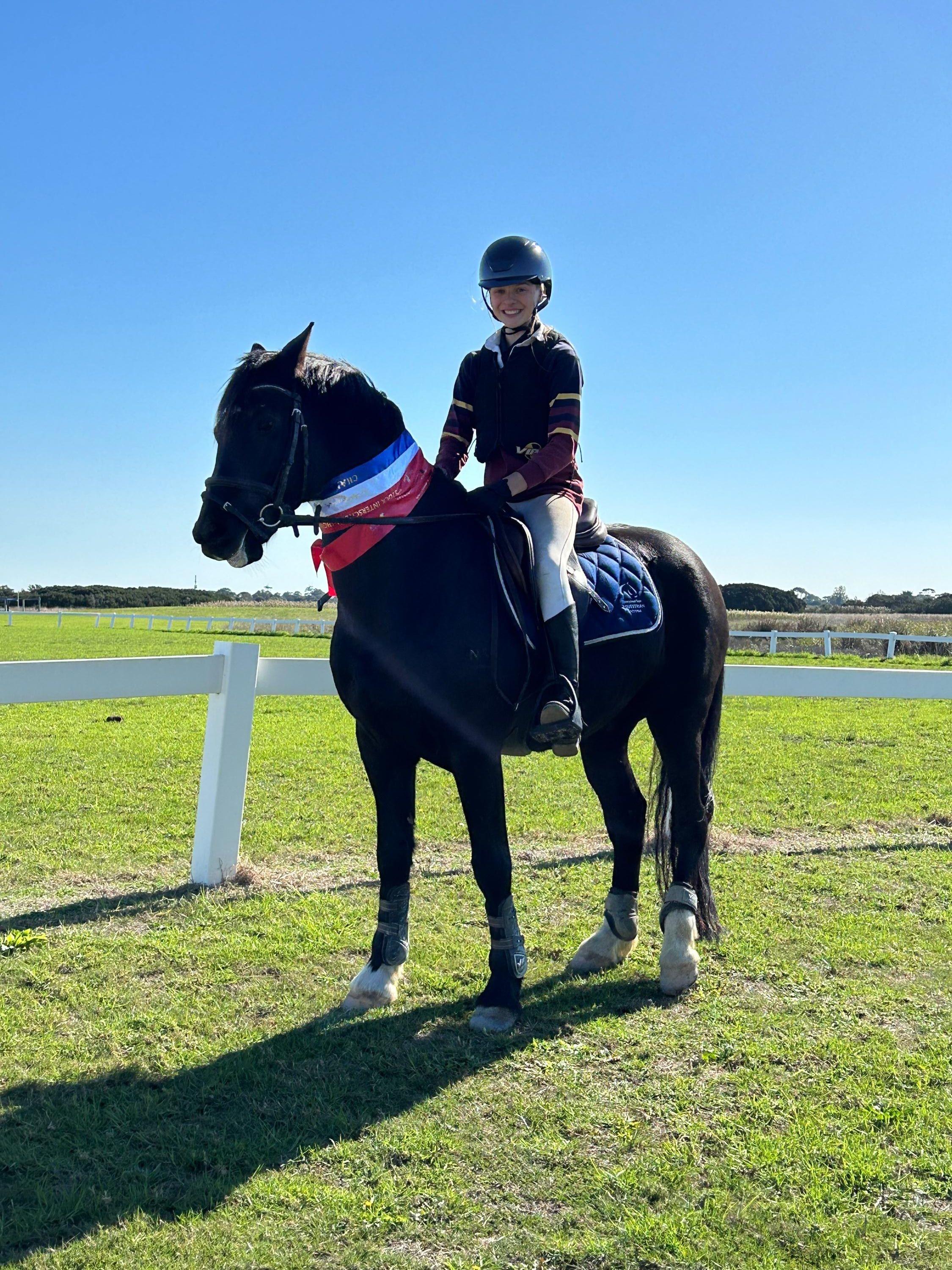 The Flying Cob/ Unicorn - Australia's #1 Equine Marketplace - Horsezone ...