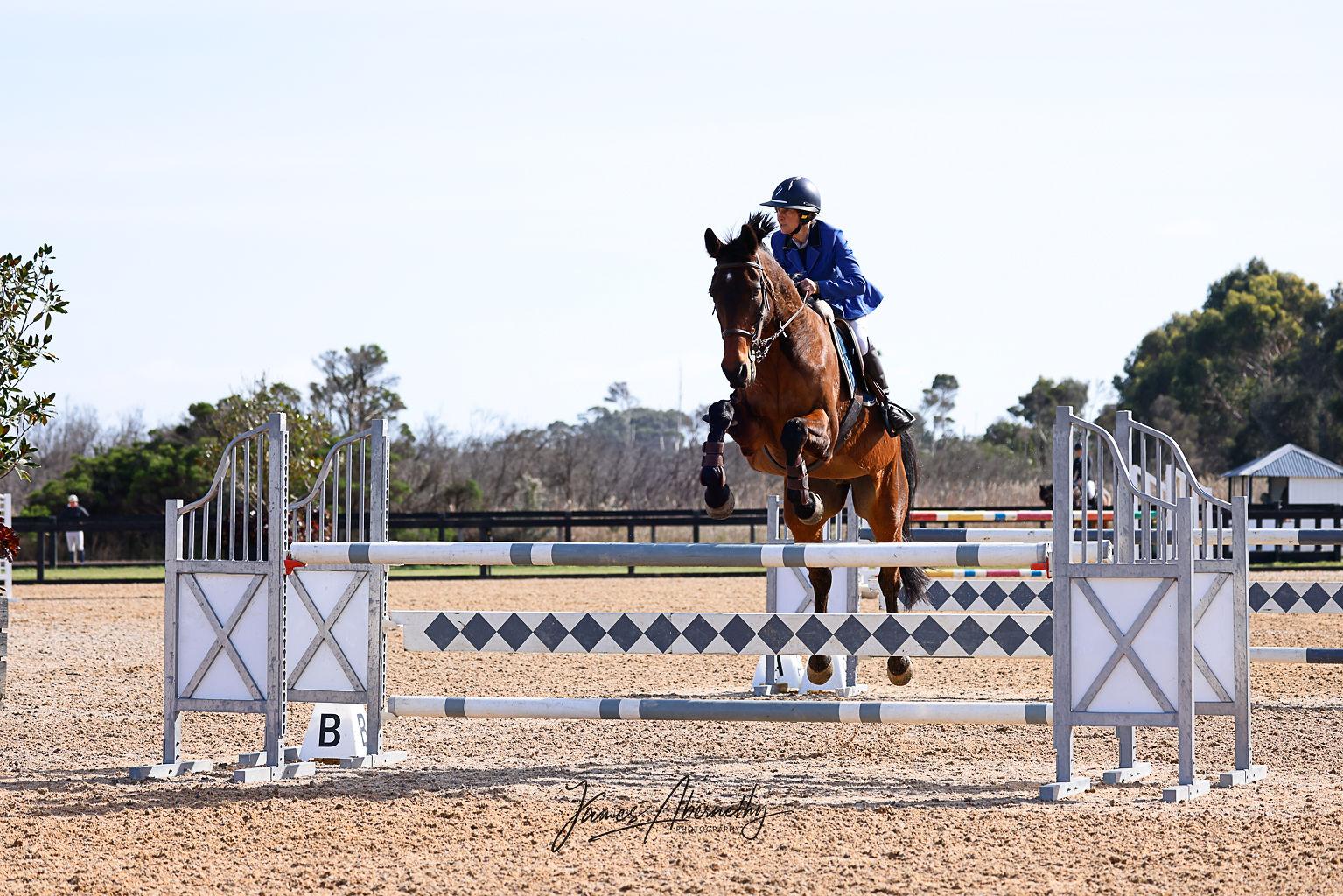 Finch Farm Capote - Australia's #1 Equine Marketplace - Horsezone.com.au